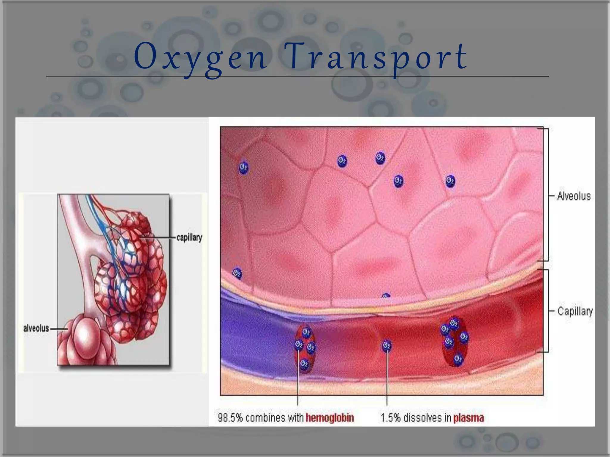 Transportation of oxygen and co2 | PPTX