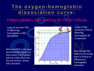 Transportation of oxygen and co2 | PPTX