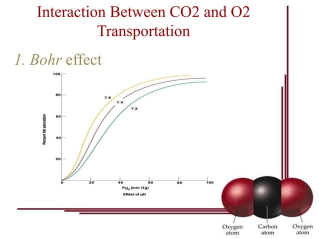 Transportation of oxygen and co2 | PPTX | Blood Disorders | Diseases ...