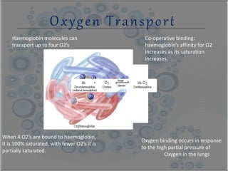 Transportation of oxygen and co2 | PPTX