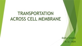 TRANSPORTATION THROUGH CELL MEMBRANES.pptx | Biological Sciences | Science
