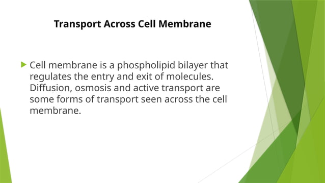TRANSPORTATION THROUGH CELL MEMBRANES.pptx | Biological Sciences | Science