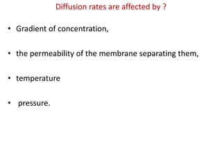 Transport in plants chapter 11 - ncert | PPTX