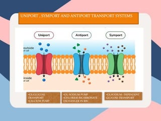 Transport biochem .-1.pdf for pre clinical MBBS STUDENTS | PDF ...
