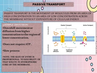 Transport biochem .-1.pdf for pre clinical MBBS STUDENTS | PDF