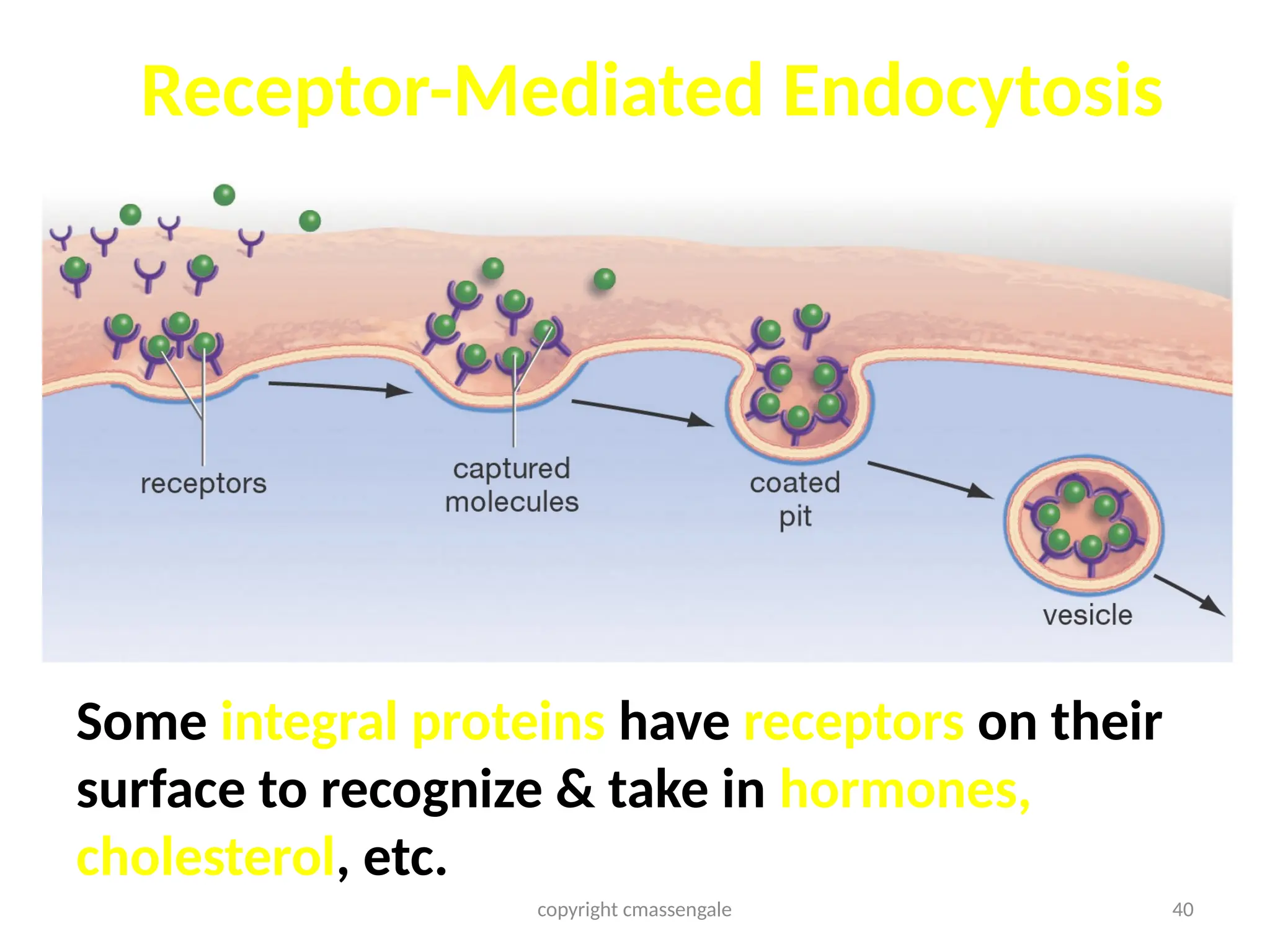 transport cll membrane of biotechnology.pptx