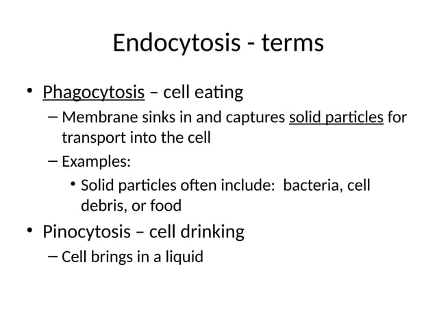 transport cll membrane of biotechnology.pptx