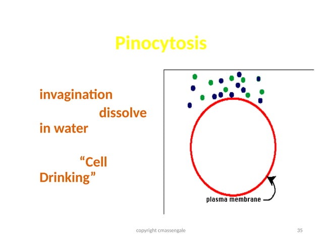 transport cll membrane of biotechnology.pptx