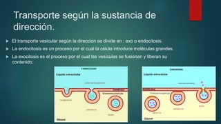 Transporte vesicular | PPTX