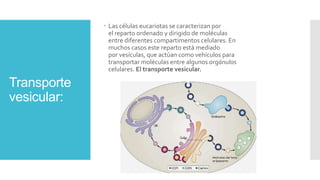 Transporte vesicular-pptx | PPTX