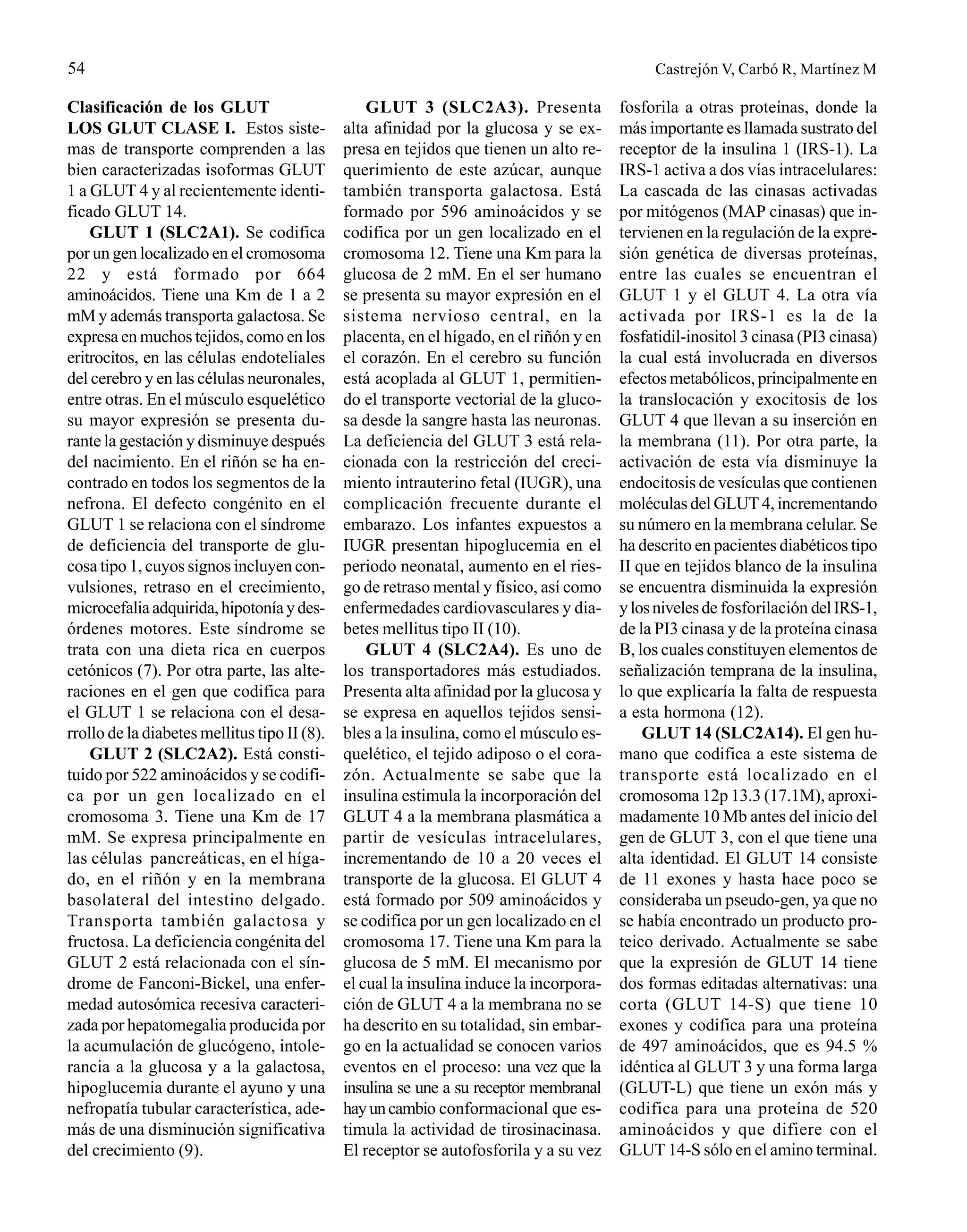 Transporte de glucosa reb | PDF