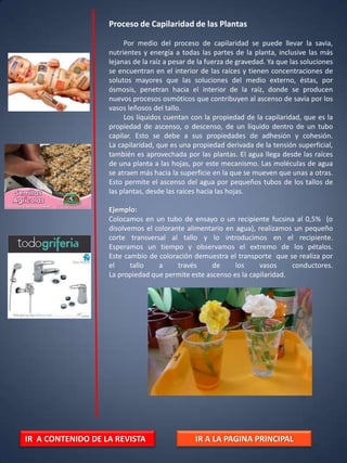 Transporte de Nutrientes en las Plantas | PPSX