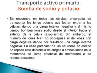 Transporte de sustancias a trav%c3%a9s de la membranas[1] | PPT