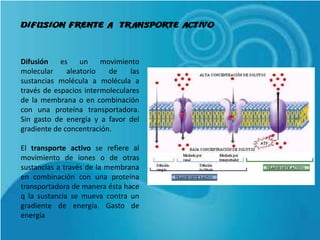 Transporte de sustancias a través de la membrana celular y potenciales ...