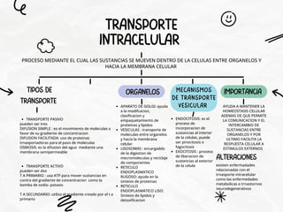 transporte intracelular.pdf para estudiar biologia | PDF