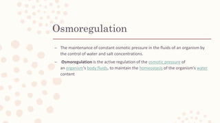 Transport epithelia in osmoregulation | PPTX
