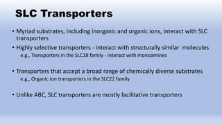 Transporter superfamilies in the human genome | PPT