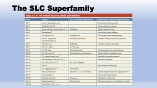 Transporter superfamilies in the human genome | PPT