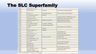 Transporter superfamilies in the human genome | PPT