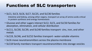Transporter superfamilies in the human genome | PPT