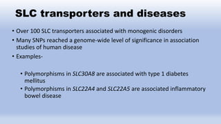 Transporter superfamilies in the human genome | PPT