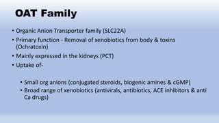 Transporter superfamilies in the human genome | PPT
