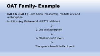 Transporter superfamilies in the human genome | PPT