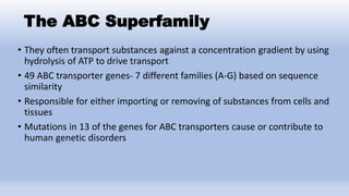 Transporter superfamilies in the human genome | PPT