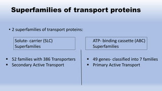 Transporter superfamilies in the human genome | PPT