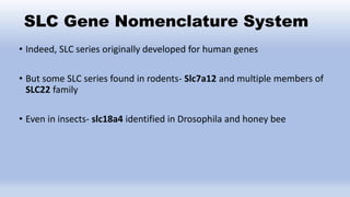 Transporter superfamilies in the human genome | PPT