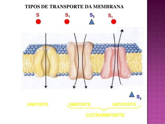Transporte transmembrana
