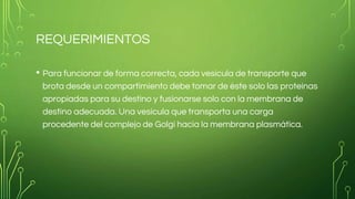 Transporte vesicular.pptx