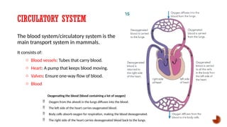 TRANSPORT IN ANIMAL INCLUDING HUMAN AND OTHER | PPTX