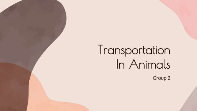 Transport In Animals[1].pptx Cambridge IGCSE | PPTX | Heart and ...