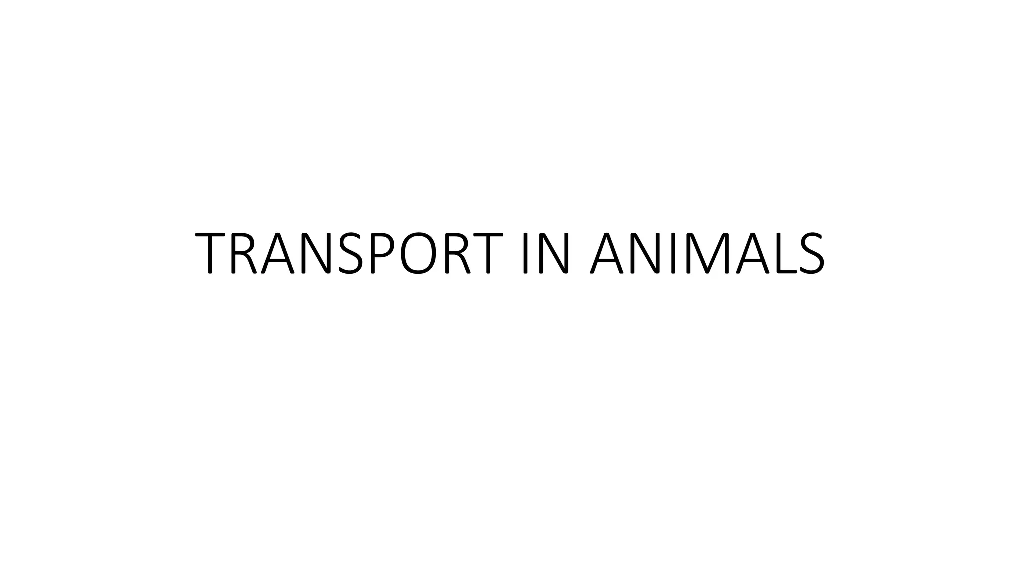 TRANSPORT IN ANIMALS biology cambridge igcse | PPTX