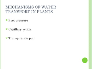 Transport in flowering plants (self created) | PPT
