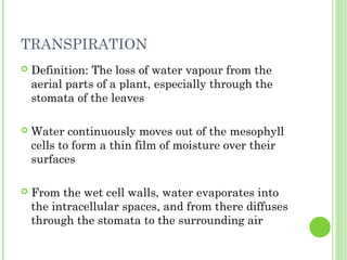 Transport in flowering plants (self created) | PPT