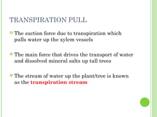 Transport in flowering plants (self created) | PPT