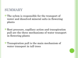 Transport in flowering plants (self created) | PPT