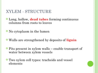 Transport in flowering plants (self created) | PPT