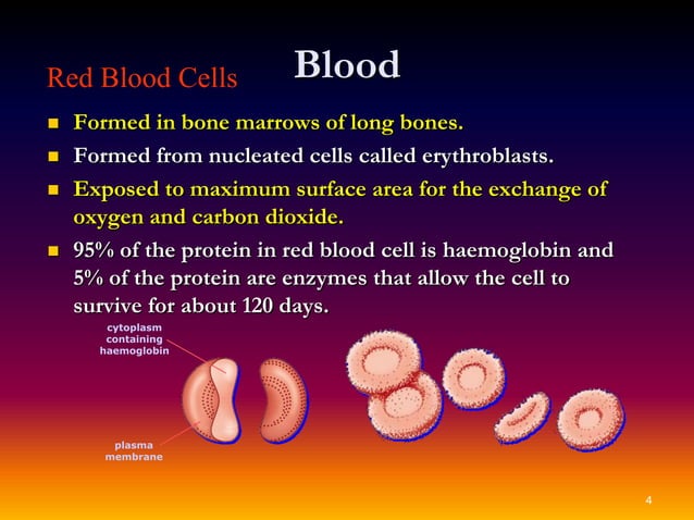 Red blood cells in Blood | PDF