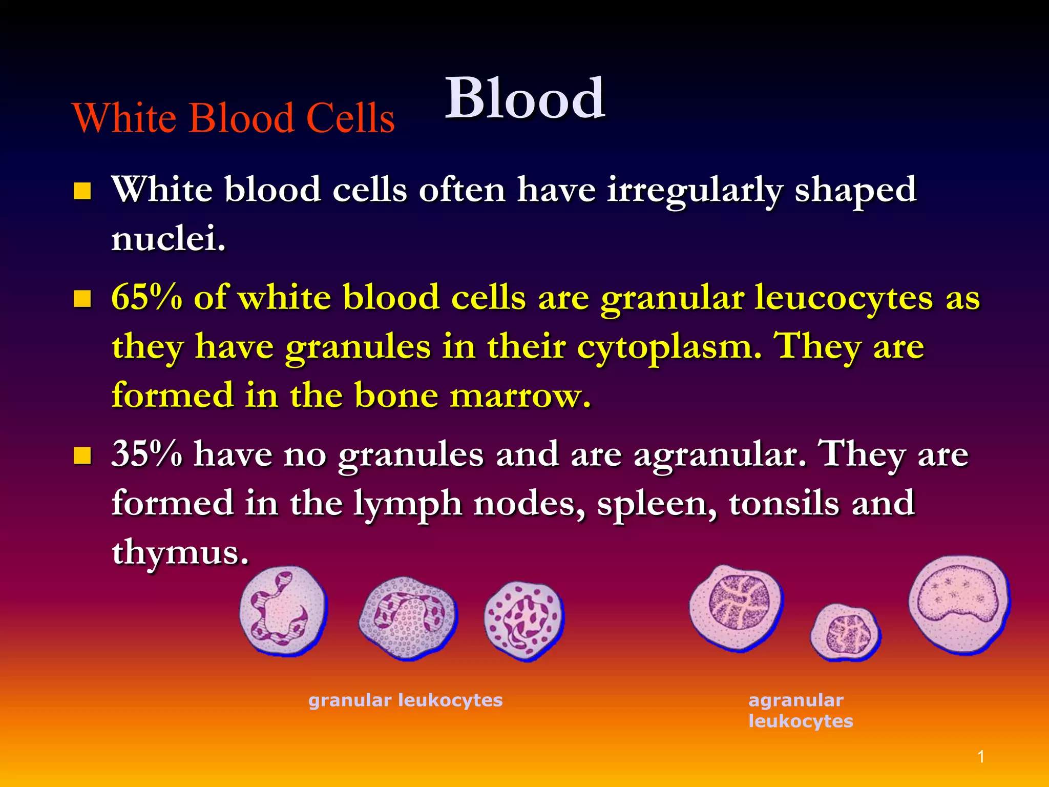 White blood cells in Blood | PDF