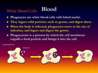 White blood cells in Blood | PDF