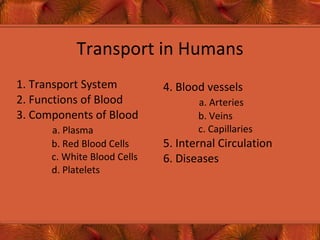 Transport In Humans | PPT