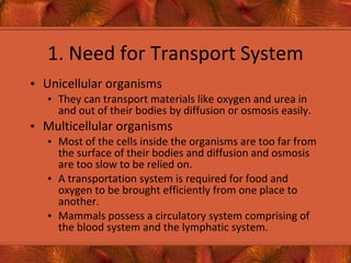 Transport In Humans | PPT
