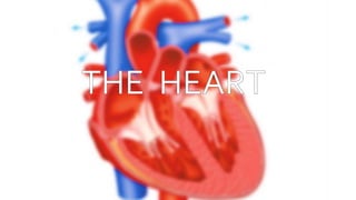 Transport in humans | PPTX | Heart and Cardiovascular Diseases ...