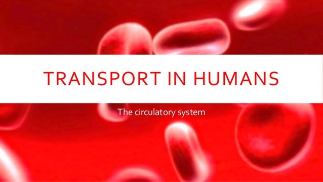 Transport in humans