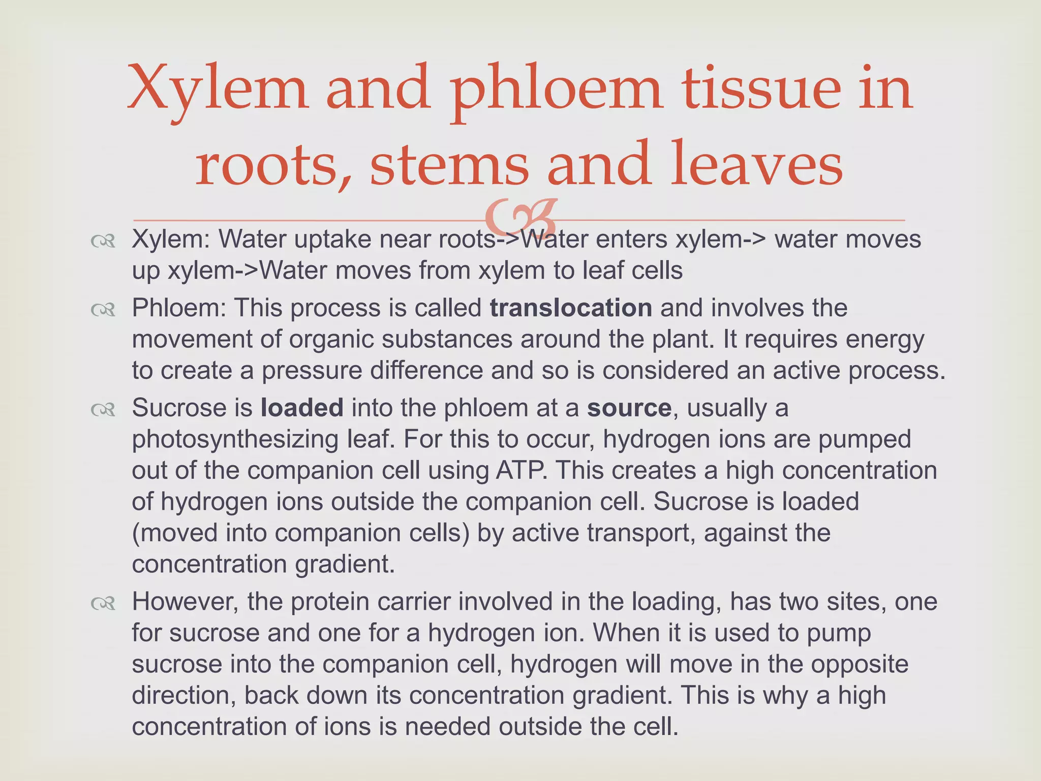 Transport in multicellular plants | PPTX