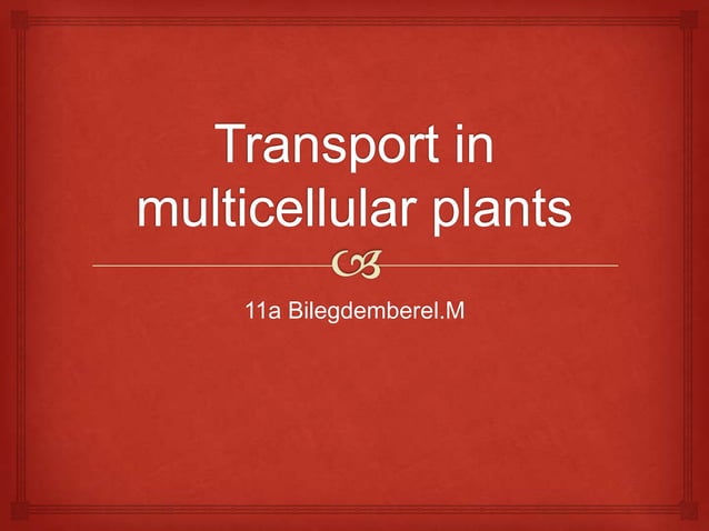 Transport in multicellular plants | PPTX | Gardening | Home & Garden