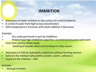 Plant physiology (transport in plant) @ Rajeev Ranjan.ppt